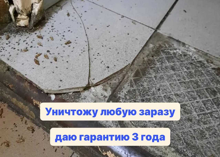 от 250 000 сум Дезинфекция уничтожение тараканов клопов мышей