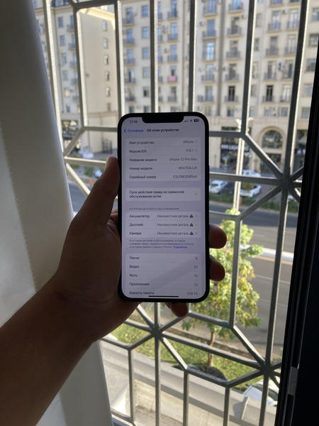 Iphone 12 Pro Max 256GB