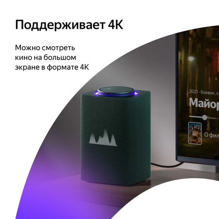 Yandex Max Zigbe