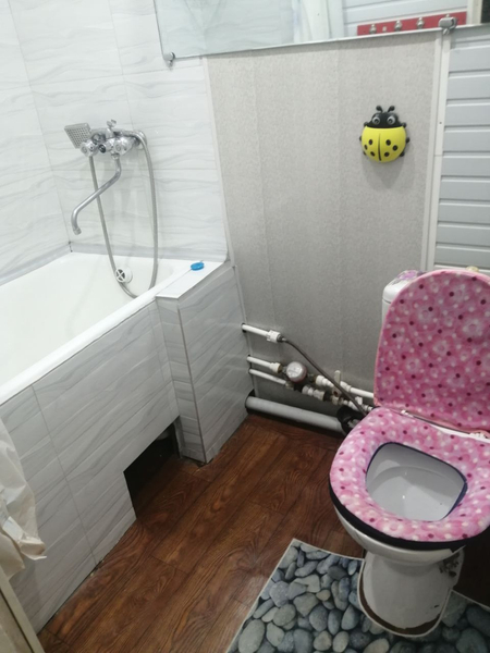Аренда Лисинова 2  300$