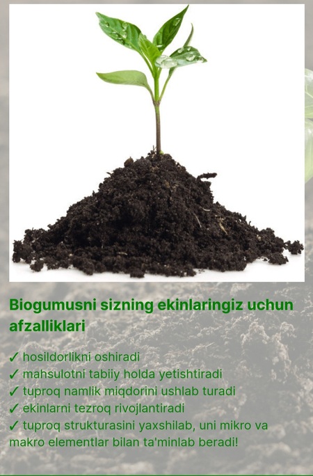 Biogumus kaliforniya qizil yomgir chuvalchanglari sotamiz
