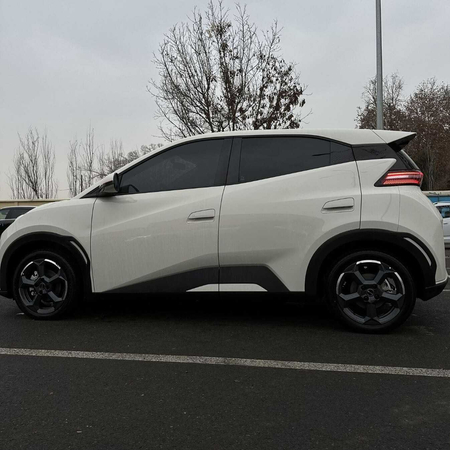 2023 Spark o'rniga 2024 Byd Seagull