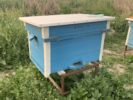 Продаётся пчелиные семьи(улье) 30 ящиков