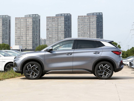 Gonzo Motors - BYD Yuan Plus Champion