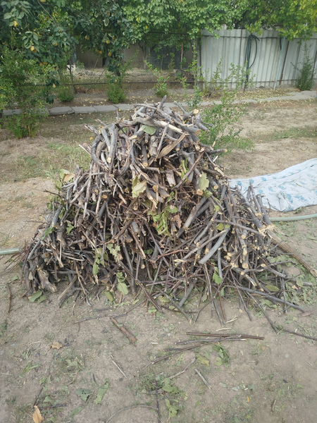 Yonĝoq utini svejiy kesilgan yirigiyam bor maydasiyam bor tayor mayda