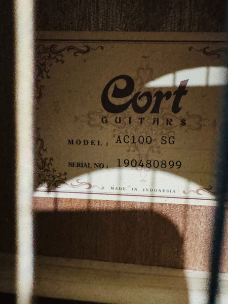 Гитара Cort AC 100 SG