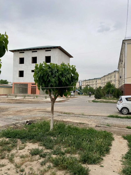 Нотурар бино сотилади