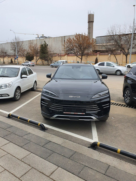 BYD чемпион гибрид 2024.