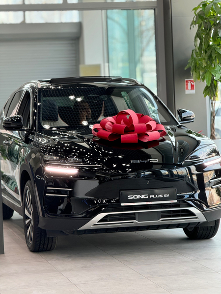Byd chempion flagship DM-i 150 km открылся договра