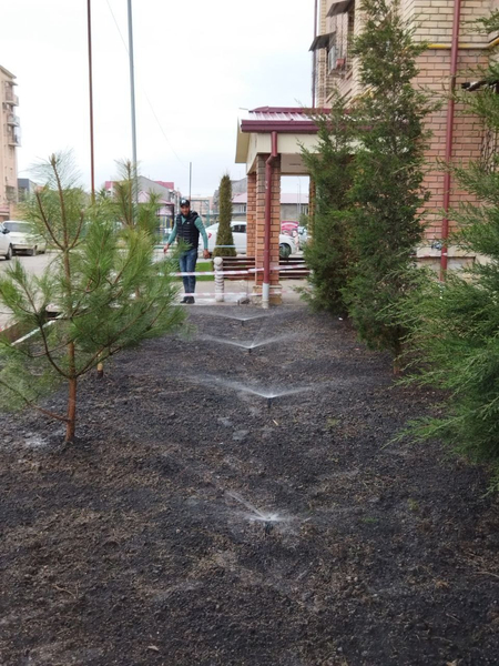 Газон палиф ландшафт сан техник хизмати
