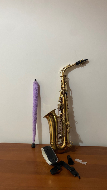 Саксофон: alt [YAMAHA]