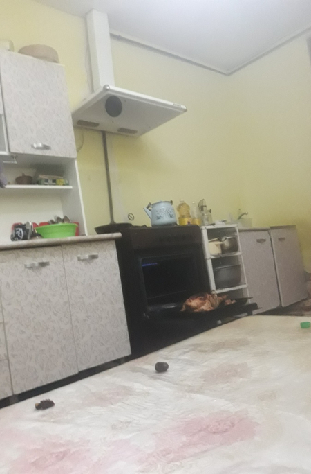 shaxarda Навои город