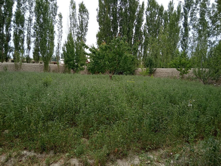 Продам свой участок