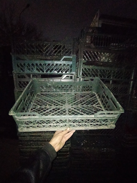 Yashik plasmas qutilar