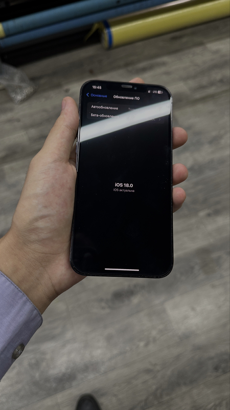 Iphone 12 pro max 256gb