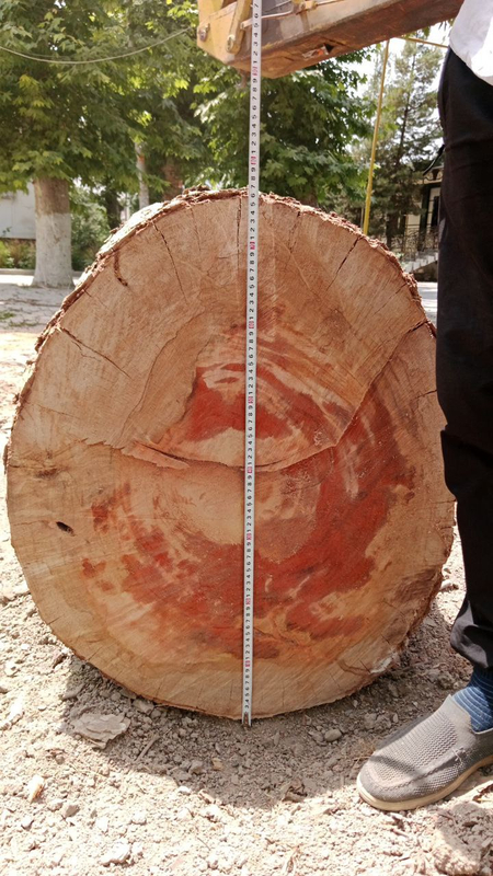 Tonna bor Qassaobhonaga