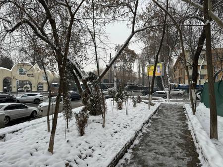 Продается не жилой помищение на Ц1