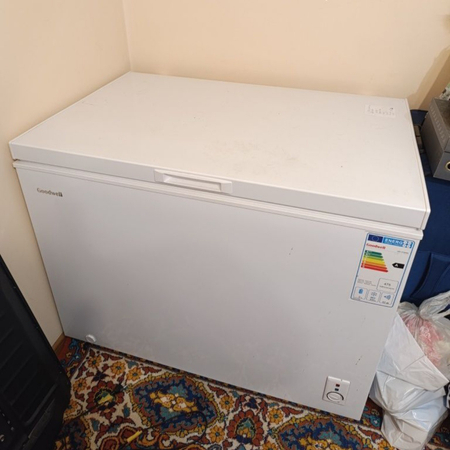 Морозильник Goodwell 300L
