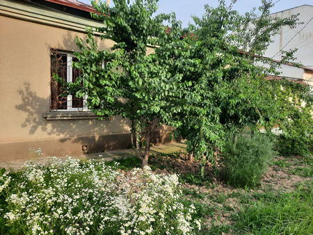 Прадаю 4,2 сот 4 ком Янгиабат