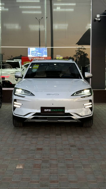 Byd chempion honor full