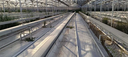 Продажа Земельного участка  кипчок кибрай  ID:034