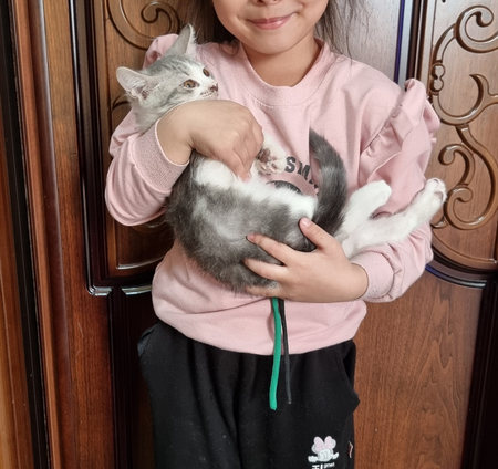 Mushuk bolasi 4 oylik uyda boqilgan zottor. Lotokka boradi juda aqlli