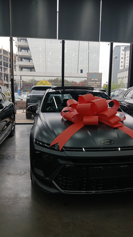 Xundai Sonata 2024 N Line 2.0 T