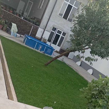 GAZON ekamiz tayyor gazon va sepish