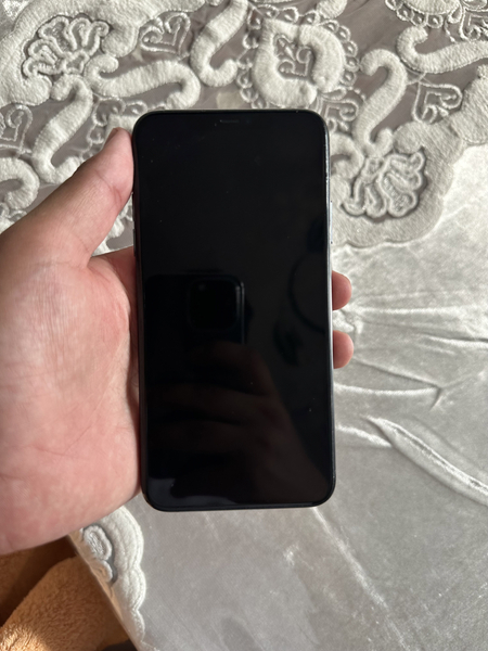 Iphone 11 pro max 256 tali