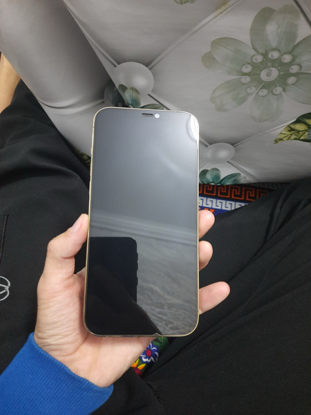 iPhone 12 pro max