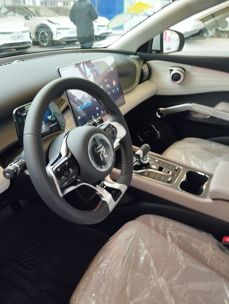 BYD Yuan Plus 5pazitsa