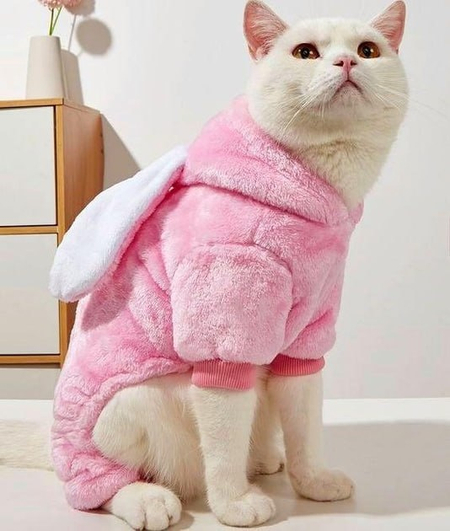 Одежда / Комбинезон / костюм для котов(кошек) или собак мелких пород
