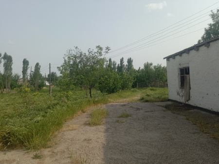Тайор йарим гектарли вли