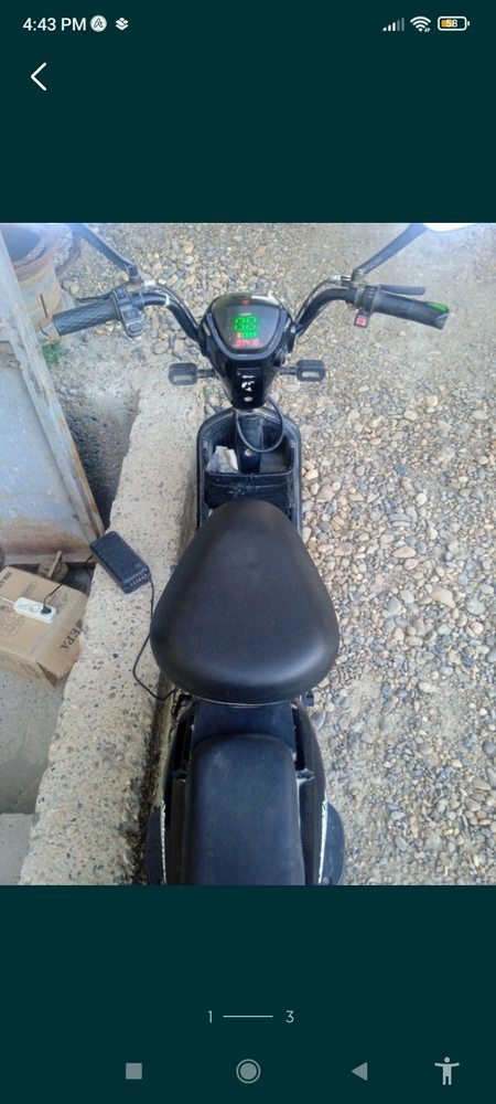 Skuter arzon narxda