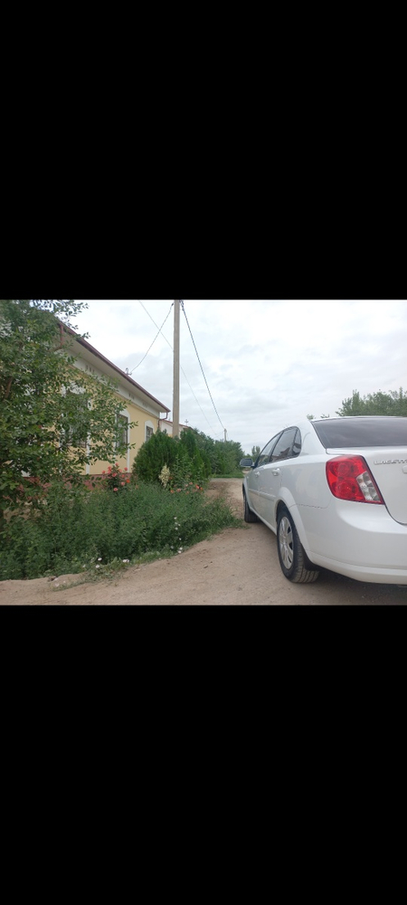 Лассети 2010 радной идеальный
