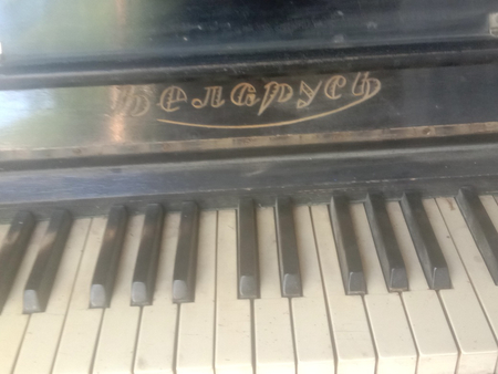 Пионино беларусь