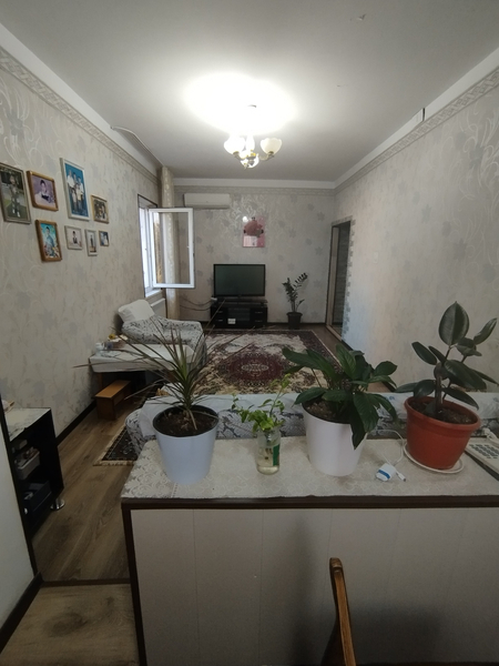 2/3/4/-франция кадишова базар