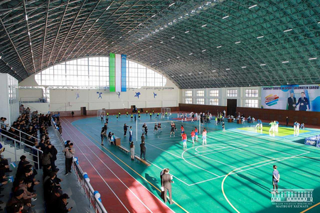 Линолеум ПВХ Релин , Спорт , Плинтус