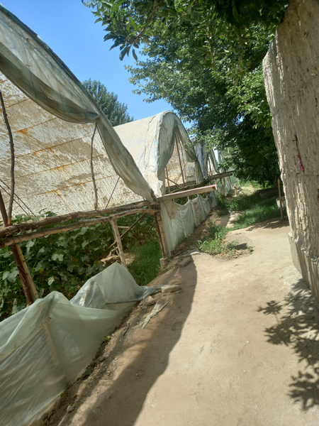 Tepletsiya sotiladi