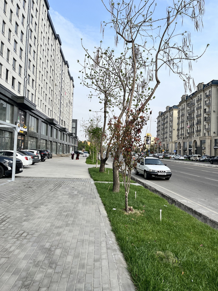 Каробка Ва Под Клуч Уйдлар Себзорда