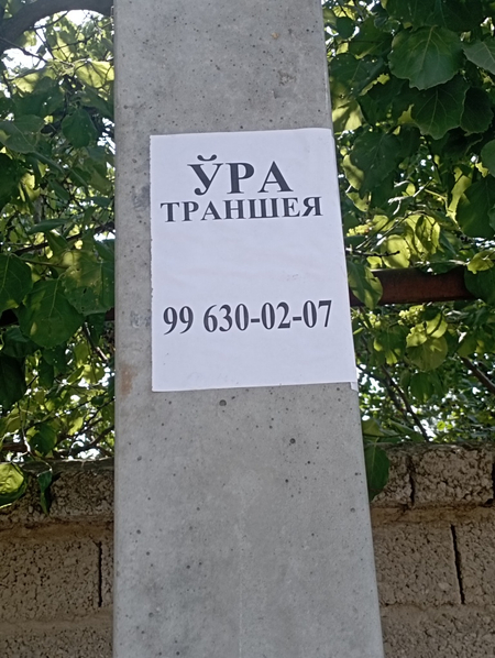 Ura o\\\'ra urachii