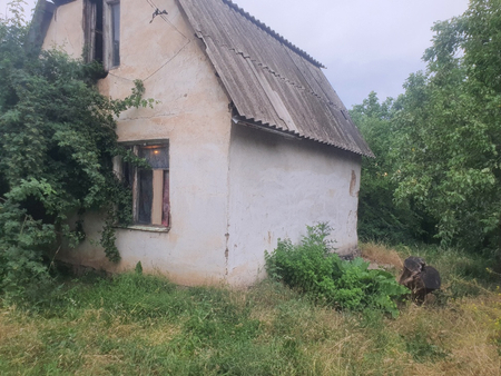 Dacha ( yer maydoni+mevali daraxt+1 xona uy) sotiladi