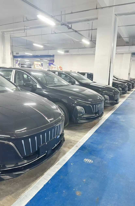 2024 hongqi E-QM5 450KM