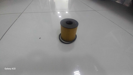 JAC SUNRAY moy filtr