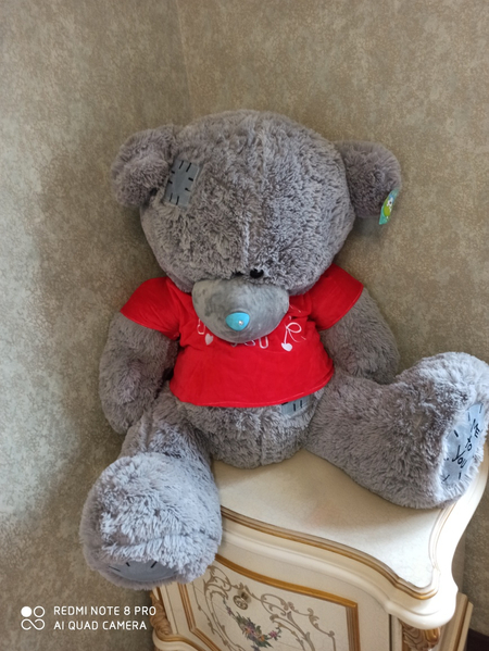 Teddy ойинчок янги биркаси билан