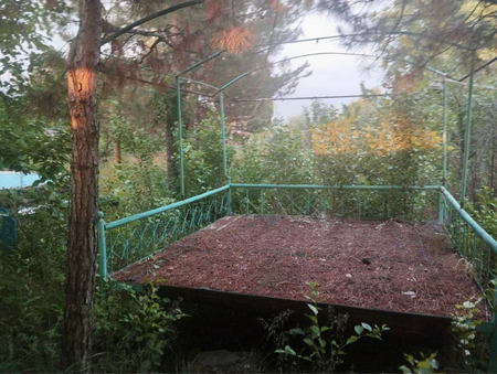 Продается дача в Паркенте, 13,5 соток