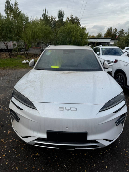 Byd Chempion 605 km 2025