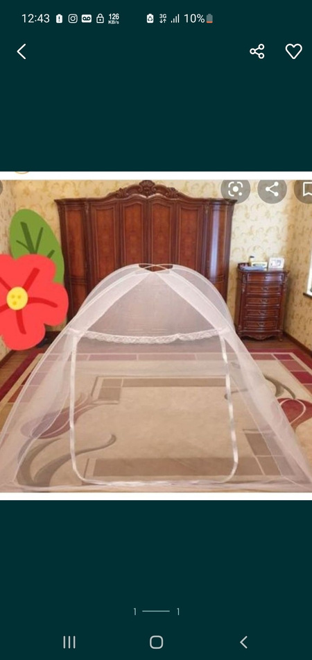Pashshaxona orginal eng kottasi yig'ma i yuviladi