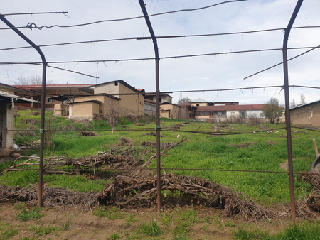 Toshkent viloyati Parkent shaxrida