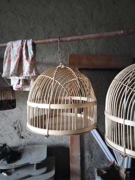 Кафас каклик учун